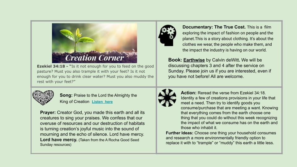 Creation Corner | Nelson Avenue Community Church